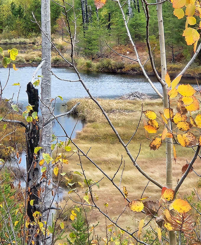 Autumn's golden reflection dances on the still surface, a painter's dream come true. These hidden Boundary Waters pools offer moments of perfect wilderness tranquility.