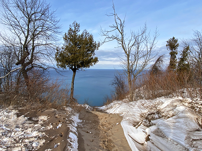 Winter's stark beauty reveals the bones of the landscape, with snow-dusted bluffs standing sentinel over a partially frozen Lake Michigan.