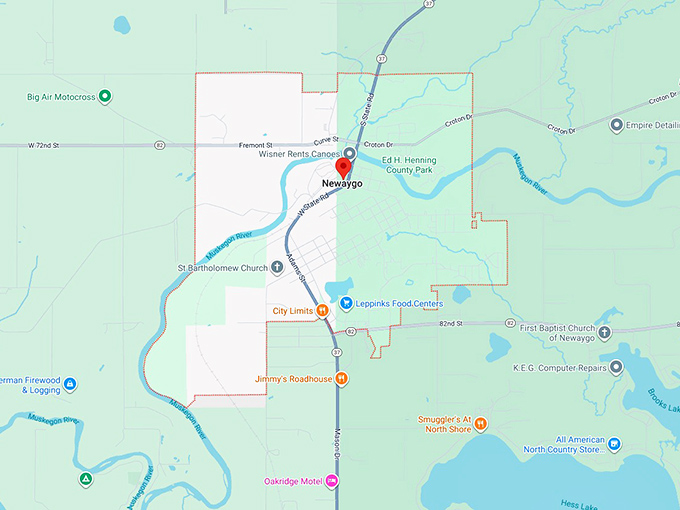 16. newaygo, michigan map