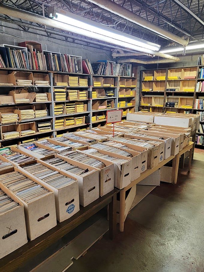 Rows upon rows of carefully organized knowledge – the basement archives contain thousands of volumes waiting for the right reader.