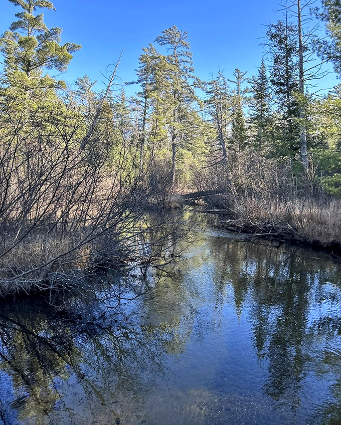 The crystal-clear Au Sable River reveals its sandy bottom secrets &ndash; nature's version of a high-definition display.