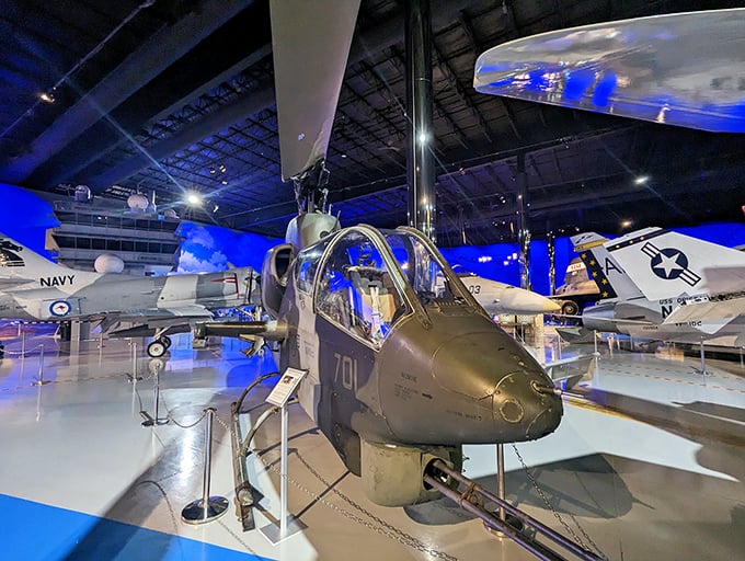 This Bell AH-1J SeaCobra helicopter looks ready to lift off at any moment &ndash; a menacing ballet dancer suspended in mid-performance.