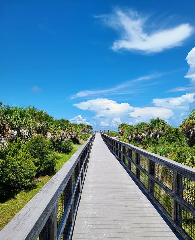 The boardwalk beckons with its wooden path stretching toward adventure, flanked by swaying palms standing guard like old friends.