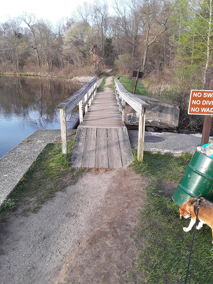 This wooden bridge isn't just crossing water &ndash; it's a portal between everyday Michigan and a forgotten era of automotive royalty's playground.