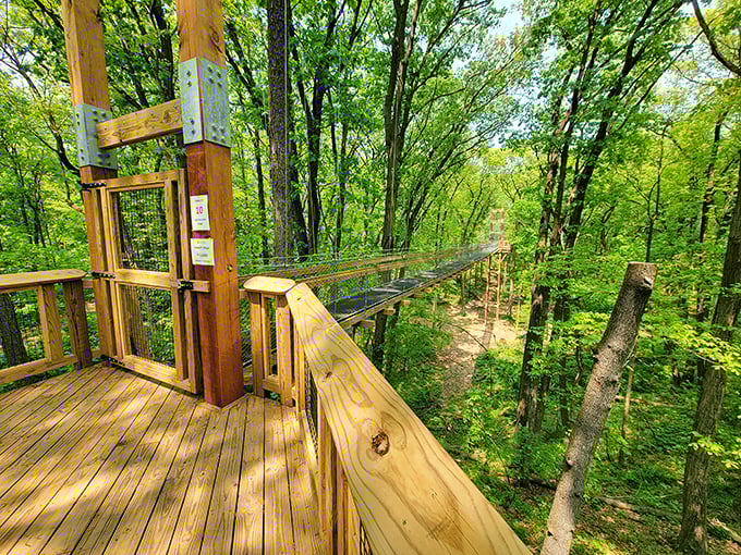 Walking among the treetops on this canopy bridge feels like you've unlocked a secret level in nature's video game, complete with spectacular views and gentle swaying.