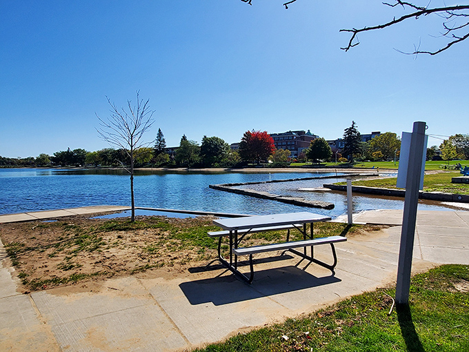 Clinch Park offers that rare beach experience where the water's actually blue and the sand doesn't feel like walking on hot coals.
