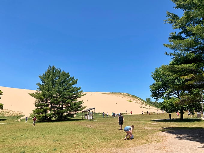Dune Climb: Nature's StairMaster with a view worth every burning muscle. Kids sprint up while adults question their life choices.