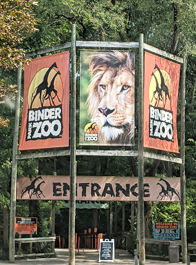The gateway to adventure! Binder Park Zoo's entrance welcomes visitors with the promise of wild encounters and unforgettable memories ahead.