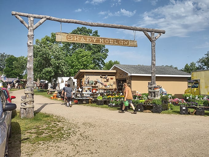 The rustic wooden entrance sign welcomes visitors to Shady Hollow, standing as a charming gateway between ordinary life and extraordinary discoveries.