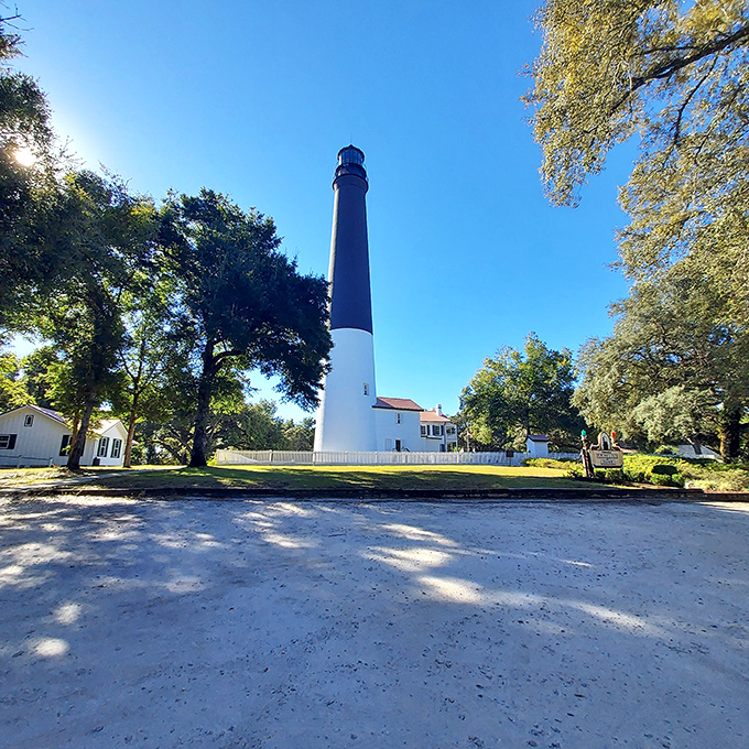 Morning sunlight bathes the 177-foot tower in golden warmth, while the pristine white keeper's quarters below whisper tales of maritime history.
