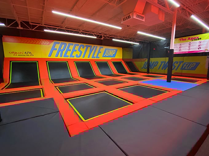 The freestyle jump area &ndash; where physics takes a vacation and everyone suddenly believes they could have been Olympic gymnasts.