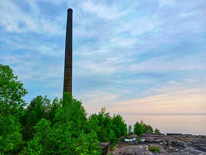 The industrial smokestack reaches skyward like a defiant finger, the last vertical exclamation point in Freda's horizontal story of abandonment.