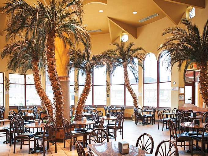 Indoor palm trees create a Mediterranean escape inside Shatila's spacious dining area, where conversations flow as freely as the Turkish coffee.