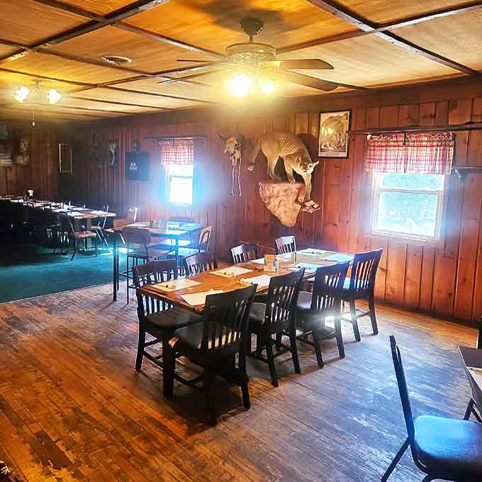 Warm wood paneling and rustic charm create the perfect backdrop for memorable meals and lively conversations.