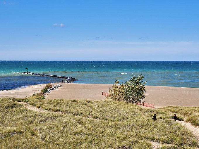 Lake Michigan's pristine shoreline at New Buffalo Beach stretches like nature's perfect welcome mat, inviting visitors to kick off their shoes and stay awhile.