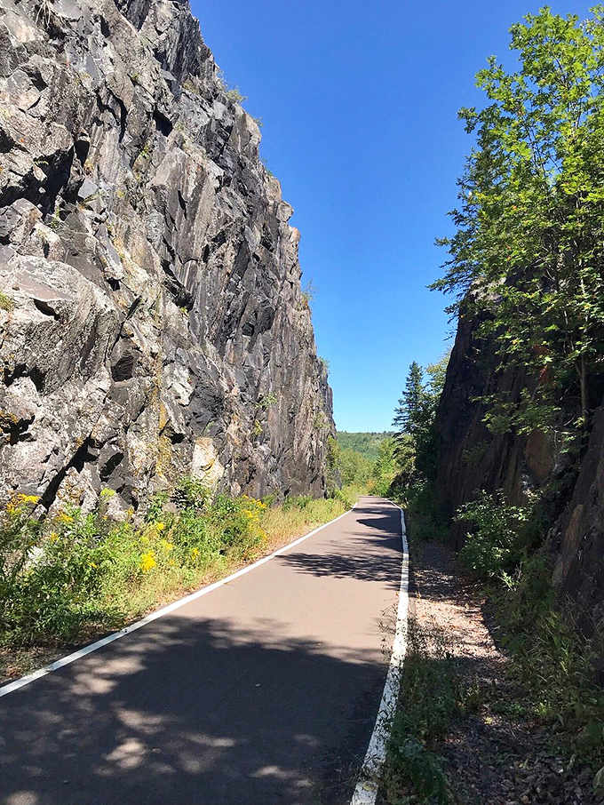 Smooth sailing ahead! This perfectly paved pathway invites cyclists of all abilities to experience nature without battling treacherous terrain.