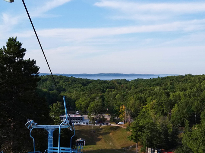 Scenic Forest Overlook: Mother Nature showing off her best angles. The kind of view that makes you forget you're dangling from a thin metal cable.