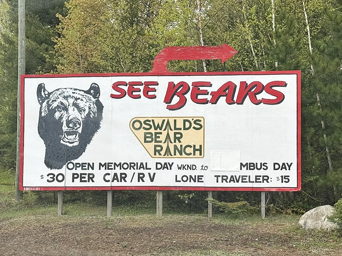 The iconic roadside sign that promises exactly what it delivers&mdash;bears, bears, and more bears in Michigan's Upper Peninsula.
