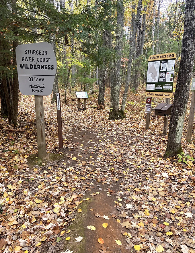 Welcome to wilderness: The Sturgeon River Gorge trailhead greets adventurers with autumn-kissed leaves and the promise of discovery.
