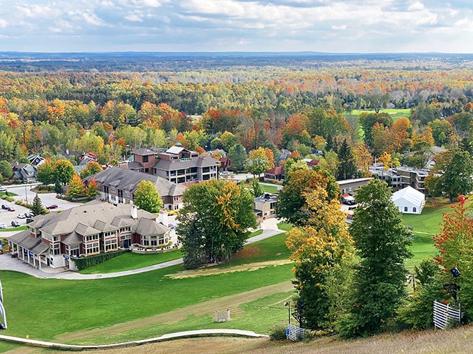 From this bird's-eye perspective, Crystal Mountain's verdant slopes and winding trails create a patchwork of adventure possibilities waiting to be explored.