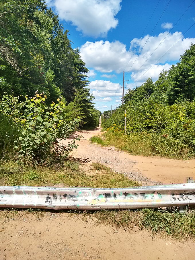 Nature's red carpet leads to mystery &ndash; this unassuming trail holds secrets that only reveal themselves after sunset.