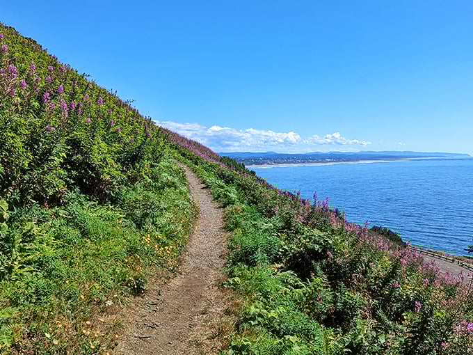 Wildflowers frame this coastal trail like nature's own art gallery, offering hikers breathtaking views of Lake Huron's endless blue horizon.