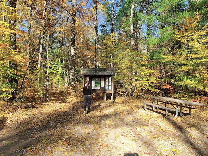 The trailhead kiosk stands sentinel at the forest's edge, offering maps and warnings &ndash; nature's version of "read the instructions first."