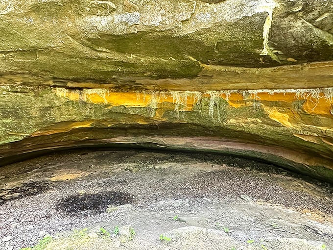 Nature's own art gallery: The interior of the cave showcases stunning mineral streaks, like Earth decided to try its hand at abstract painting.