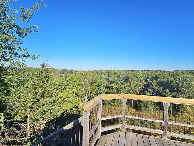 Perched above the wilderness, this wooden observation deck offers panoramic views that'll make your Instagram followers green with envy.