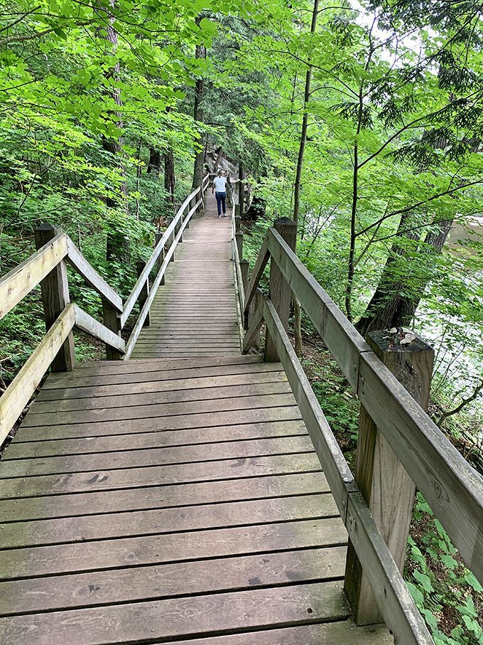 The wooden boardwalk winds through emerald forests like a ribbon, each step bringing you closer to nature's thunderous applause.