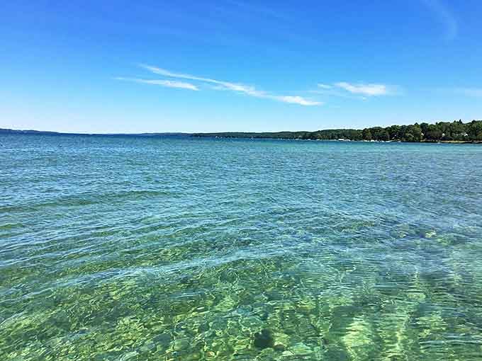 Crystal clarity that defies belief &ndash; Torch Lake's waters reveal every pebble, ripple, and fish below, creating an almost surreal swimming experience.