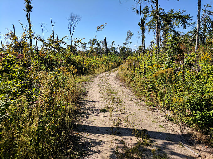 This humble dirt path doesn't look like much, but it's the yellow brick road to some of Michigan's most jaw-dropping views.