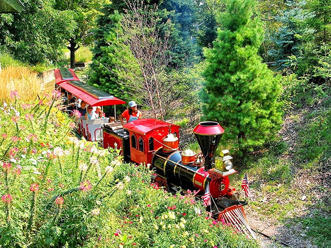 Chugging through paradise! This bird's-eye view captures the train's scenic route winding through lush Michigan greenery.