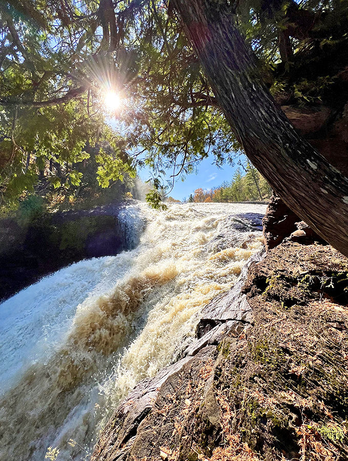 Liquid thunder in the wilderness! The powerful current transforms from peaceful river to roaring cascade, hypnotizing visitors with its raw energy.