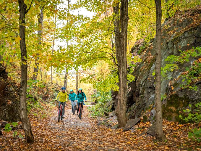Autumn's golden confetti creates a magical tunnel for bikers, where every pedal stroke rustles through nature's crunchiest carpet.