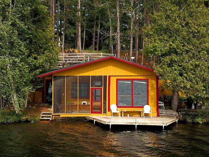 The vibrant mustard-yellow exterior with cherry-red trim creates a welcoming contrast against the deep green forest backdrop.