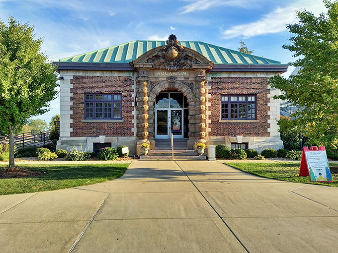 The historic Belle Isle Aquarium charms visitors with its green-tiled ceiling and century-old architecture &ndash; America's oldest continuously operating public aquarium.