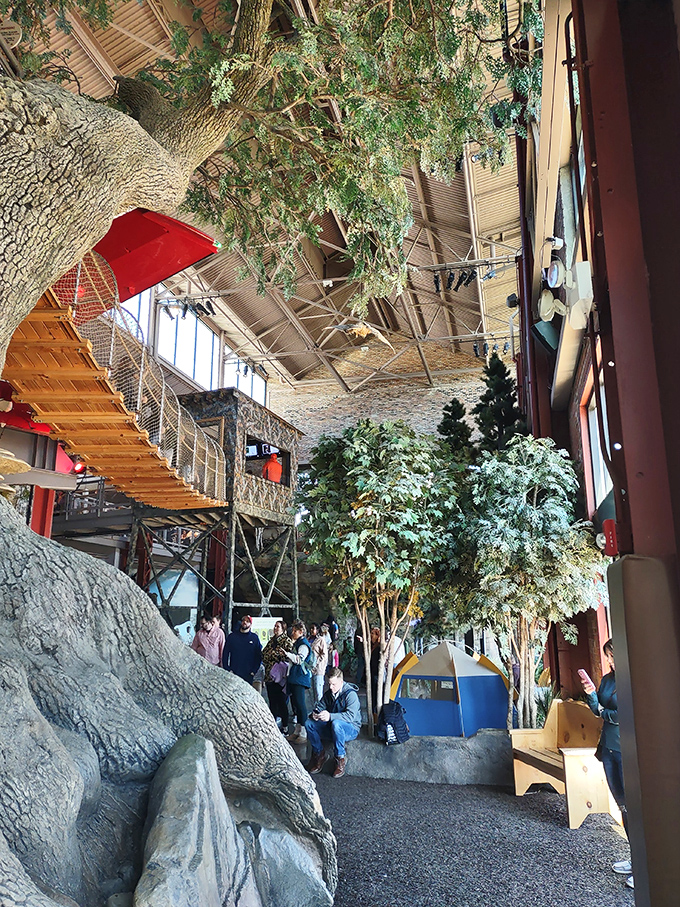 Step inside and enter a world where the outdoors comes indoors&mdash;complete with towering trees, rushing water, and adventure waiting around every corner.