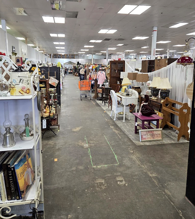 Wander through aisles of curiosities where every turn reveals something unexpected &ndash; from antique furniture to bizarre collectibles.