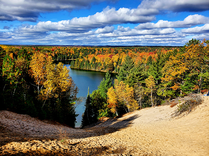 A bird's-eye view that makes you wonder if eagles get jaded. "Another day, another breathtaking panorama," they probably sigh.