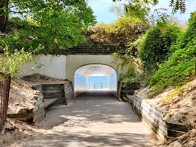The iconic pedestrian tunnel cuts through massive dunes, creating a magical passageway to Lake Michigan's pristine shores.