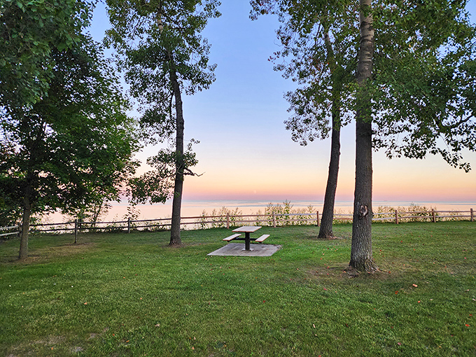 A peaceful picnic spot nestled among towering trees, offering the perfect vantage point for watching the lake's ever-changing moods.