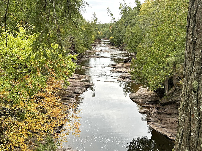 The Black River carves its ancient path through billion-year-old bedrock, creating a serene corridor that whispers geological secrets to patient listeners.