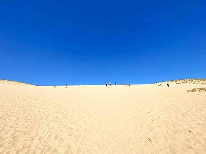 A vast golden expanse stretches toward the horizon, where tiny figures remind you just how massive this sandbox for grown-ups truly is.