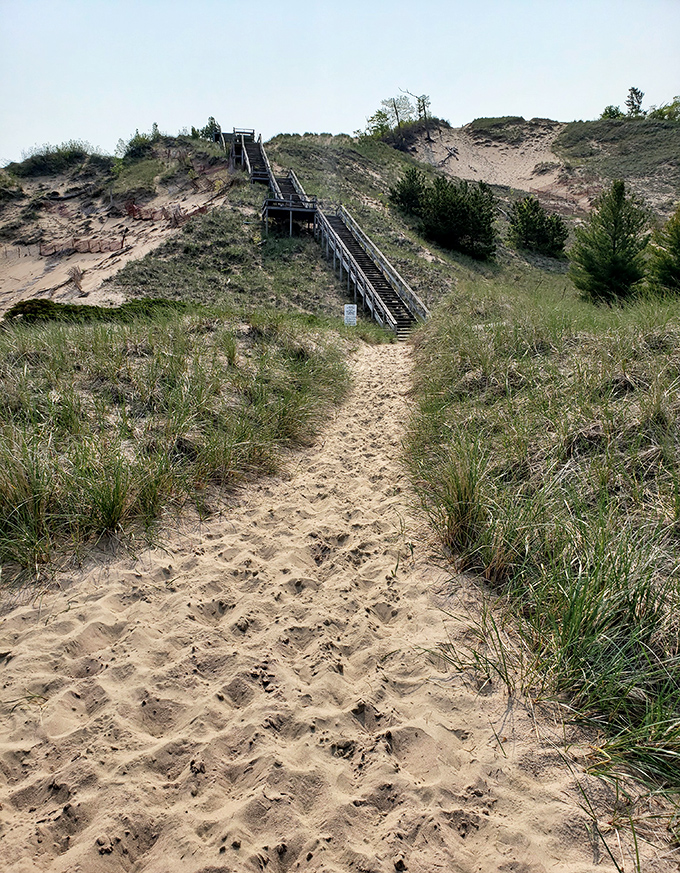 Sandy pathways wind through coastal dunes, creating natural corridors that whisper, "Adventure this way!"