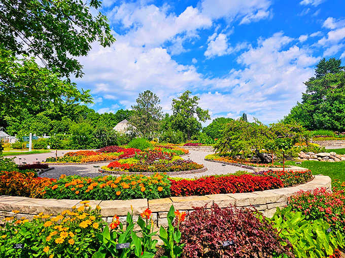 Circular flower beds that would make geometric purists weep with joy, showcasing the Arboretum's talent for turning plants into living art installations.