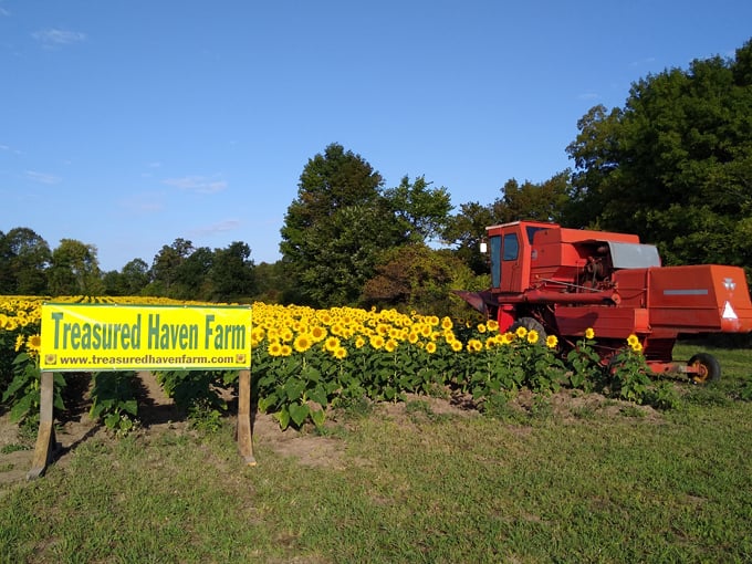 The welcoming sign and vintage harvester greet visitors, promising a day of rustic charm and natural splendor ahead.