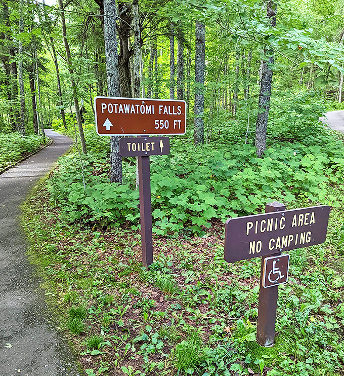 The journey begins here &ndash; just 550 feet of accessible trail separates you from one of Michigan's most enchanting waterfall experiences.