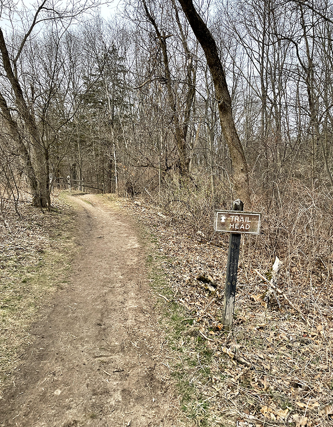 The trail head sign stands sentinel, a humble gatekeeper to acres of natural Michigan splendor waiting to be explored.