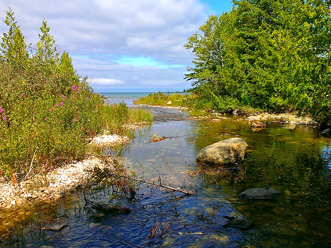 A tranquil stream winds its way to Lake Huron, creating a peaceful soundtrack that no meditation app could ever replicate.
